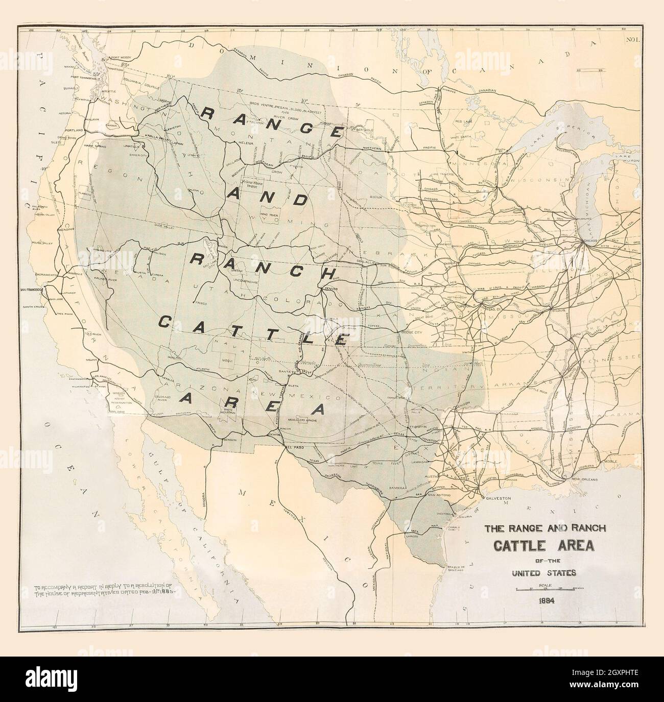 The Range and Ranch Cattle Area Stock Photo - Alamy