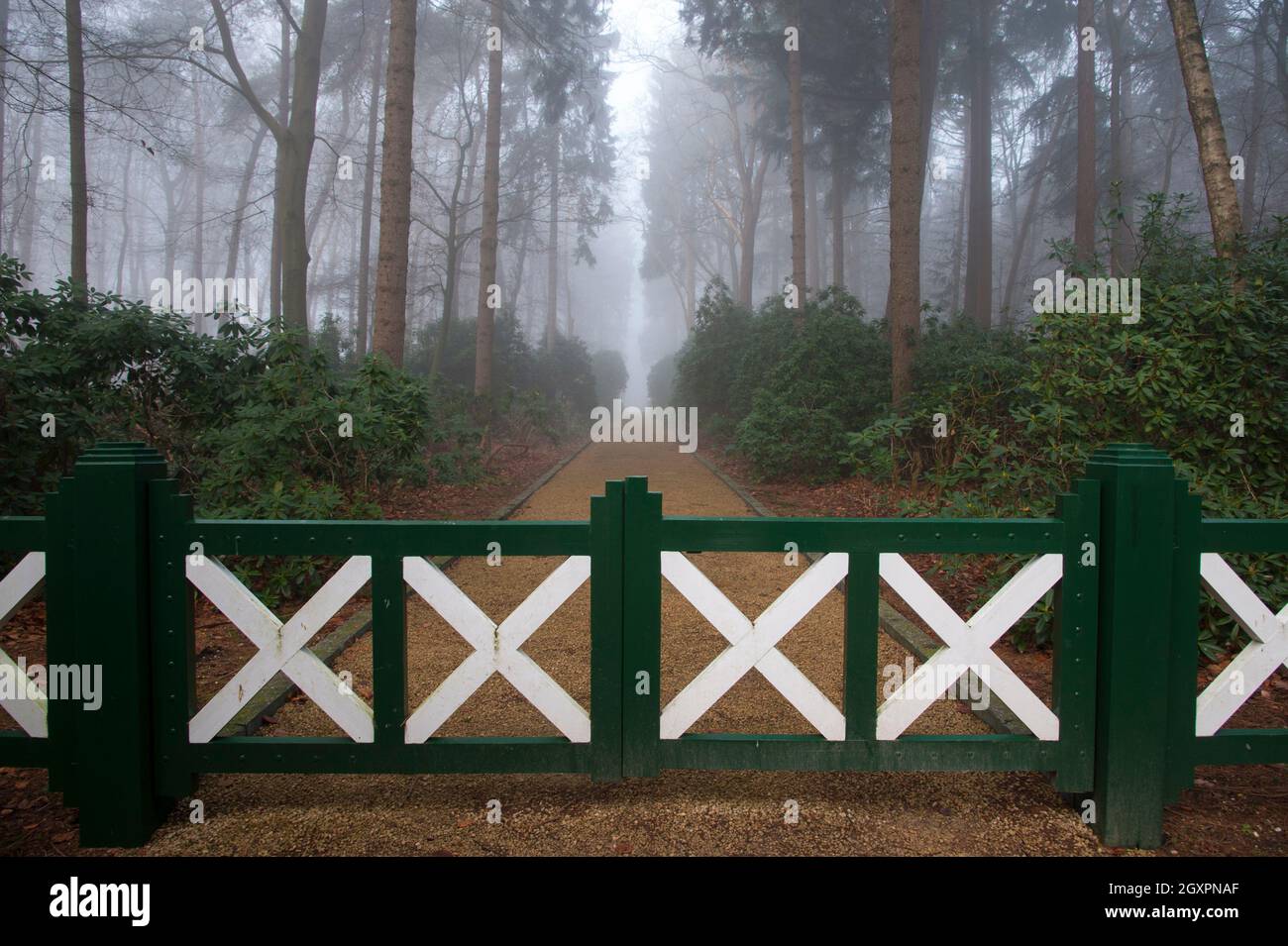 Closed gate on a path leading through a forest in the mist Stock Photo ...