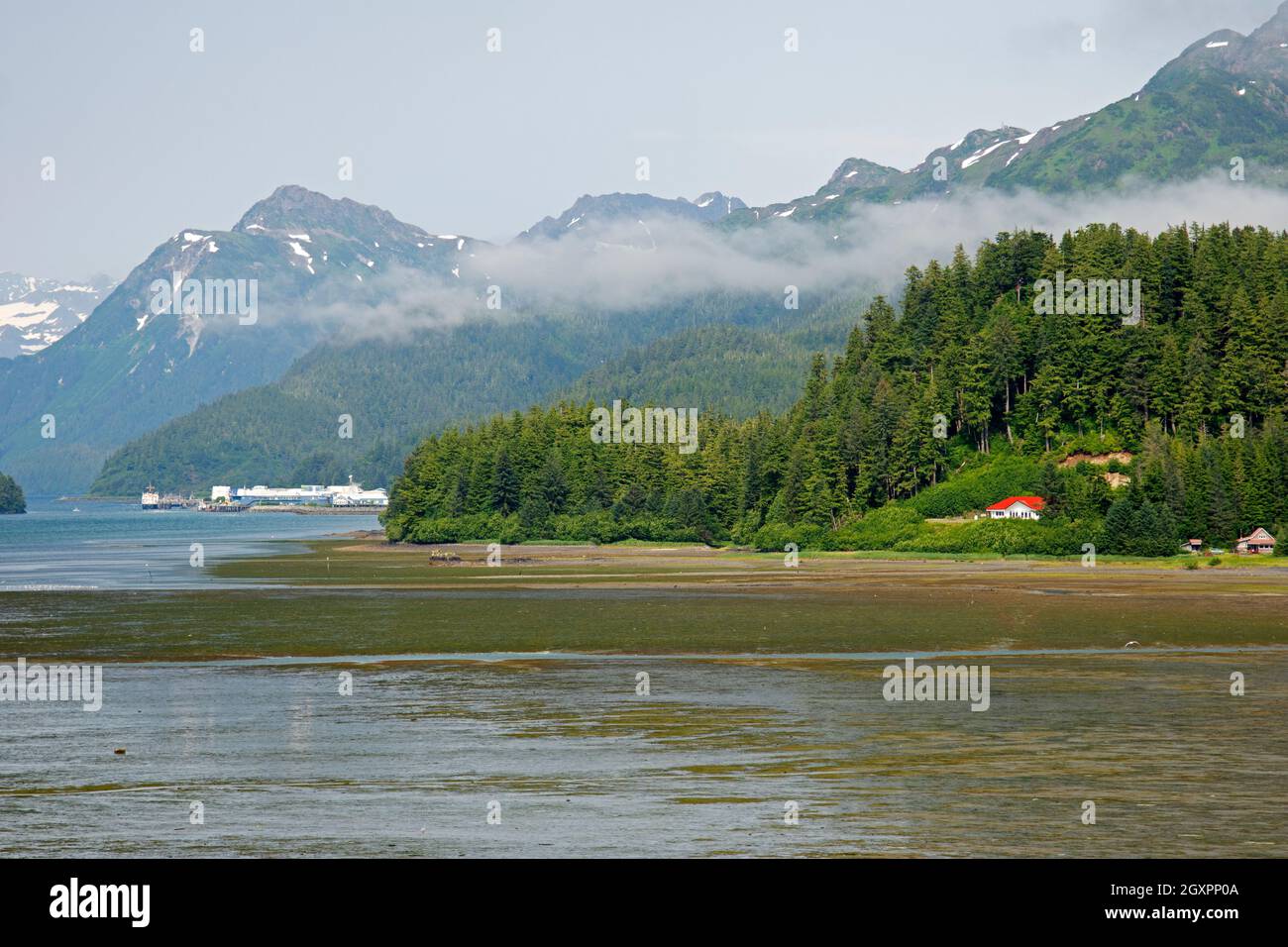 Scenic landscape in Cordova, Alaska, USA Stock Photo - Alamy