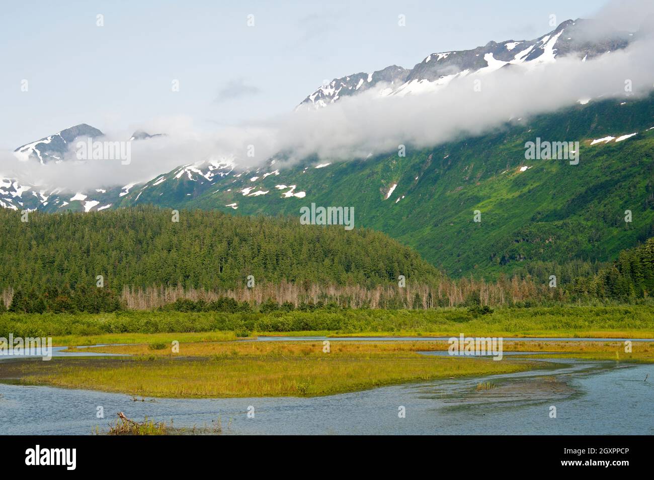 Scenic landscape in the Eyak Lake, Cordova, Alaska, USA Stock Photo - Alamy