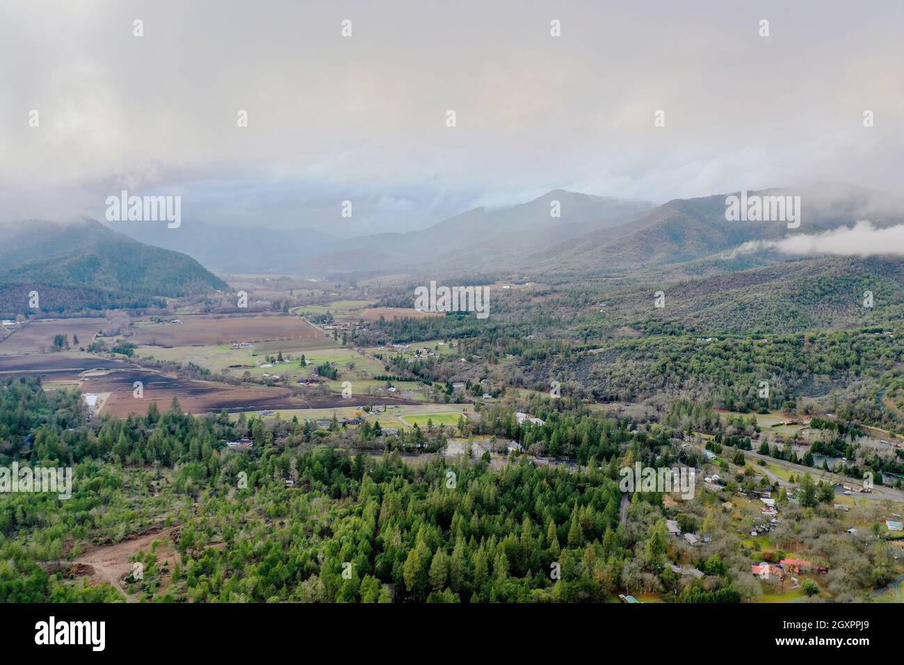 Beautiful and peaceful forest under cloudy sky and with mountains as ...
