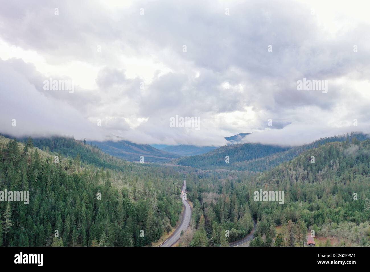 Beautiful and peaceful forest under cloudy sky and with mountains as ...