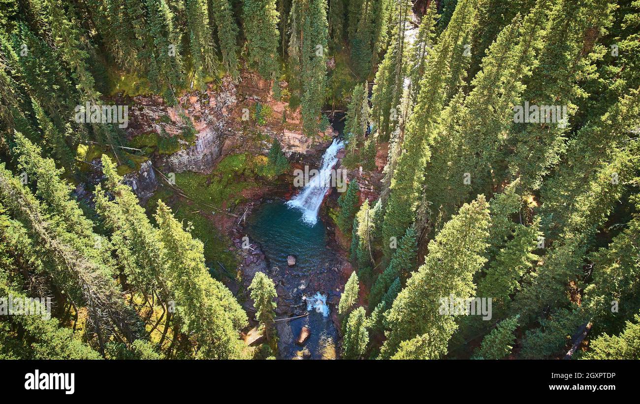Aerial of majestic hidden waterfall surrounded by pine trees Stock ...