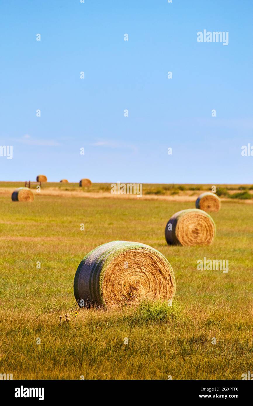 Vertical Hay Bales in open field Stock Photo - Alamy