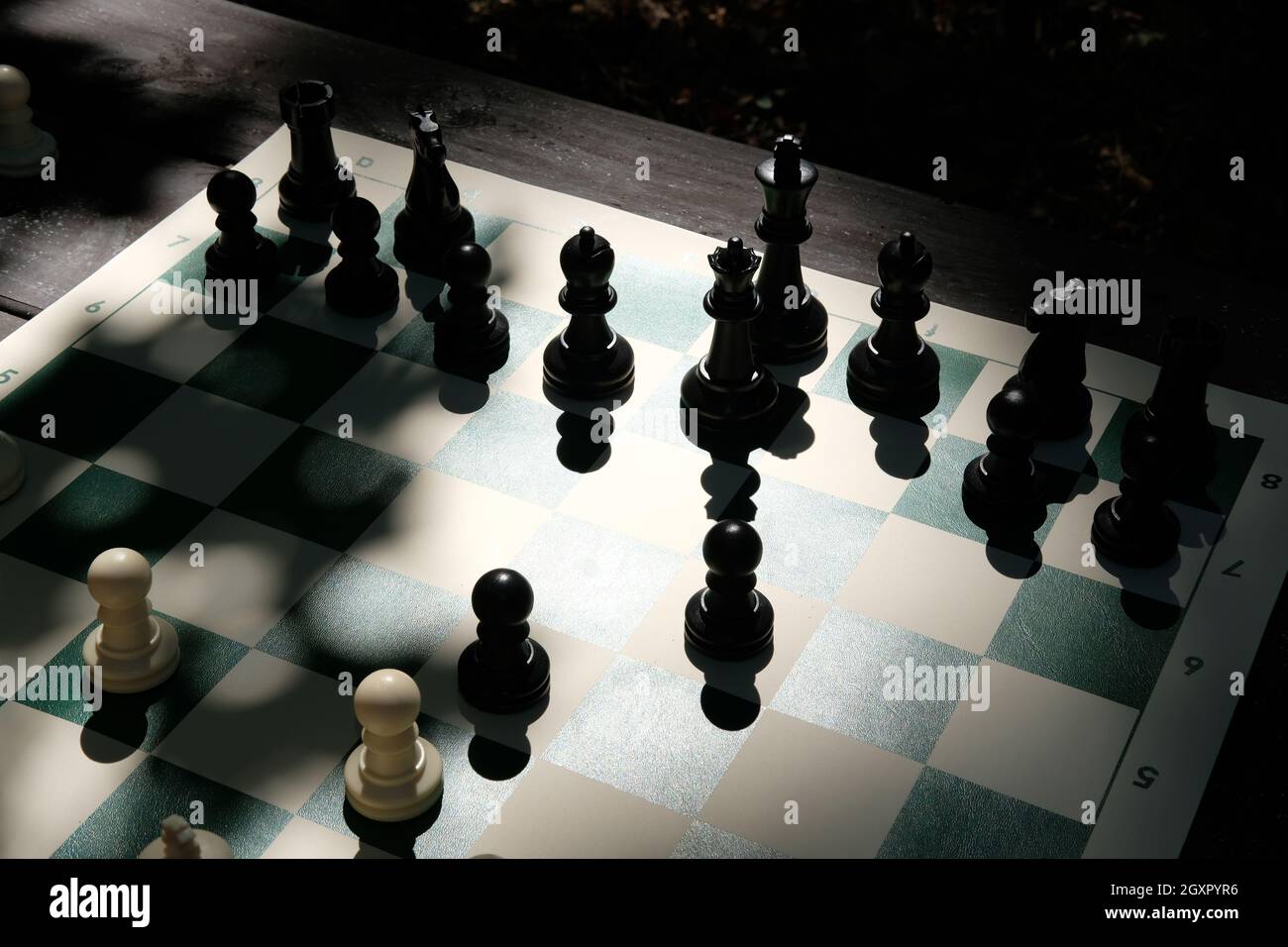 Playing in chess tournament outdoors at local park Stock Photo - Alamy