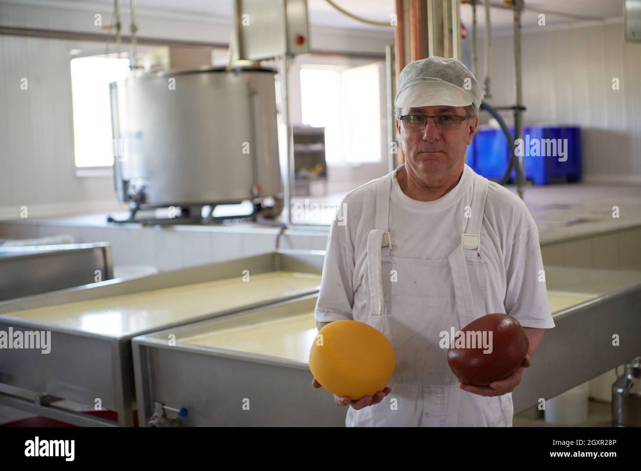 Cheese production male cheesemaker employee working in factory Stock ...