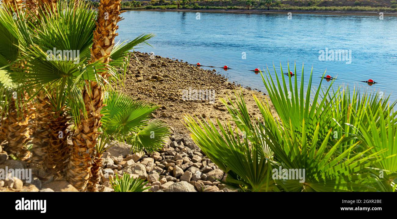 Shore on the Colorado River in Laughlin, Nevada Stock Photo - Alamy