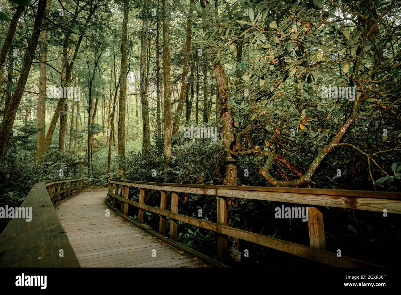 Dingmans falls recreation area handicap accessible boardwalk trail ...