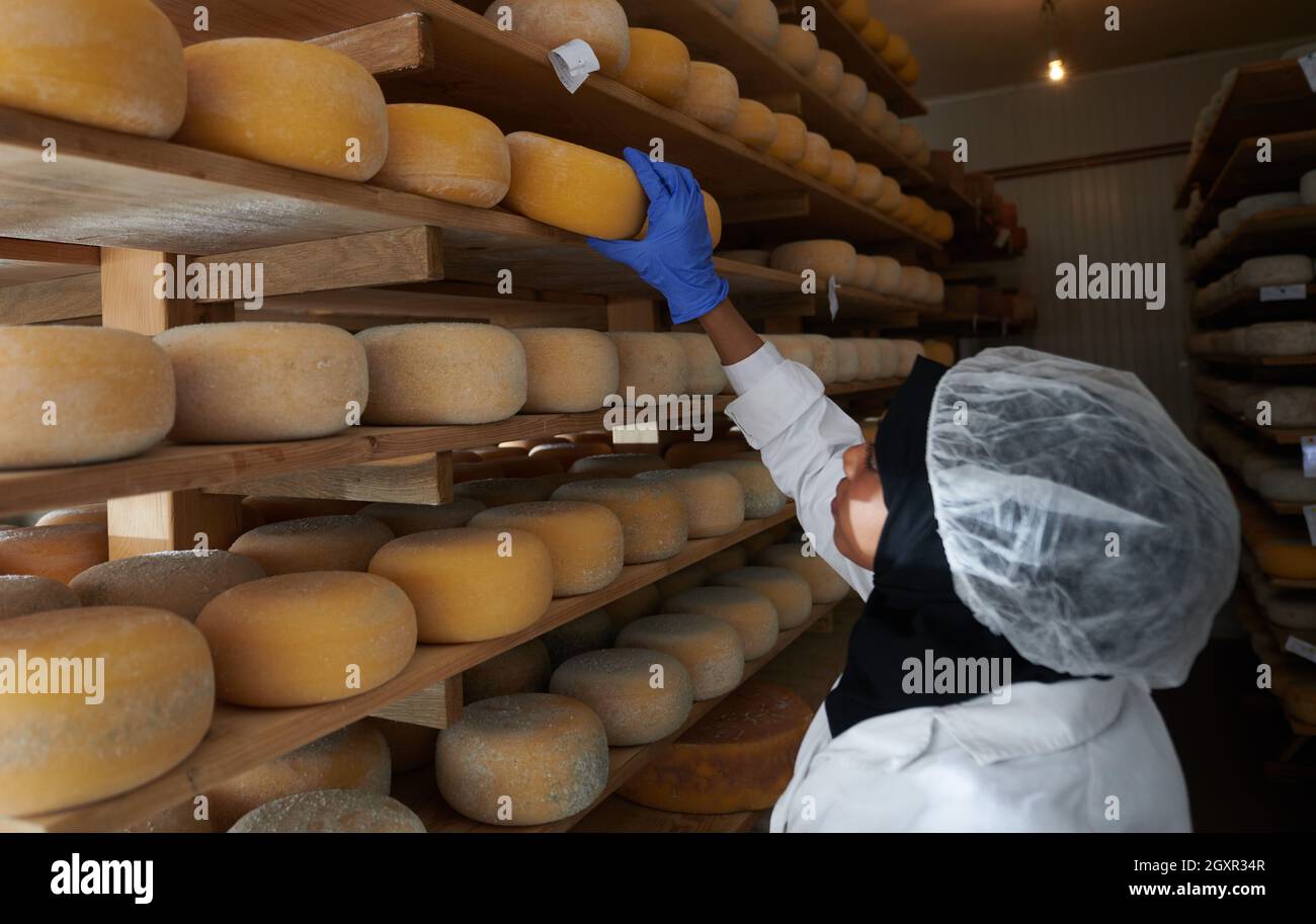 middle eastern black african muslim female business woman team in local ...