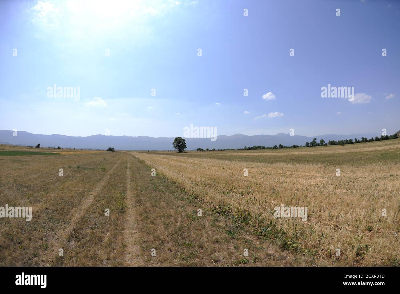 authentic nature landscape on summer time with fisheye lens Stock Photo ...