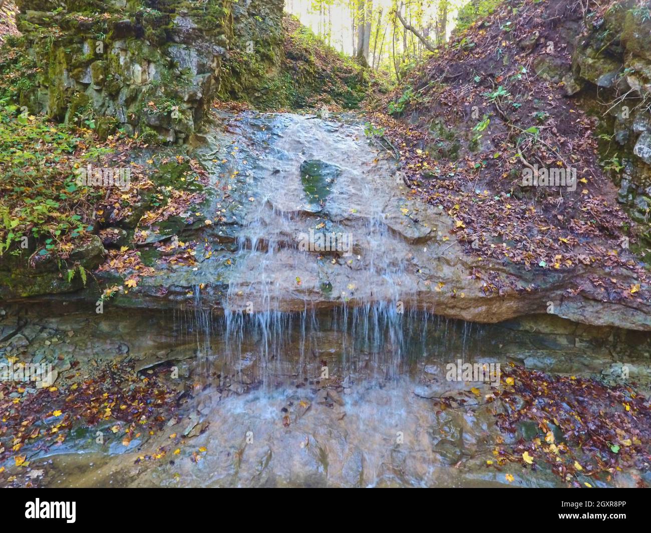 Dripping falls over creek in forest Stock Photo - Alamy