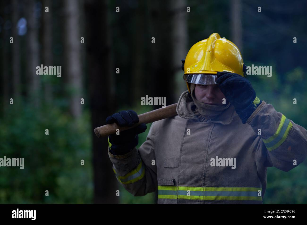 firefighter portrait on authentic fire location in forest Stock Photo ...