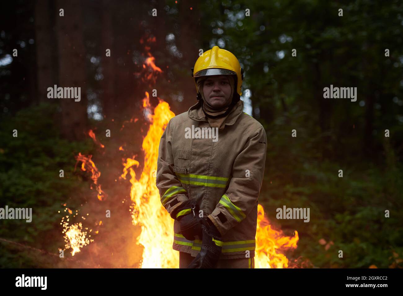 firefighter portrait on authentic fire location in forest Stock Photo ...
