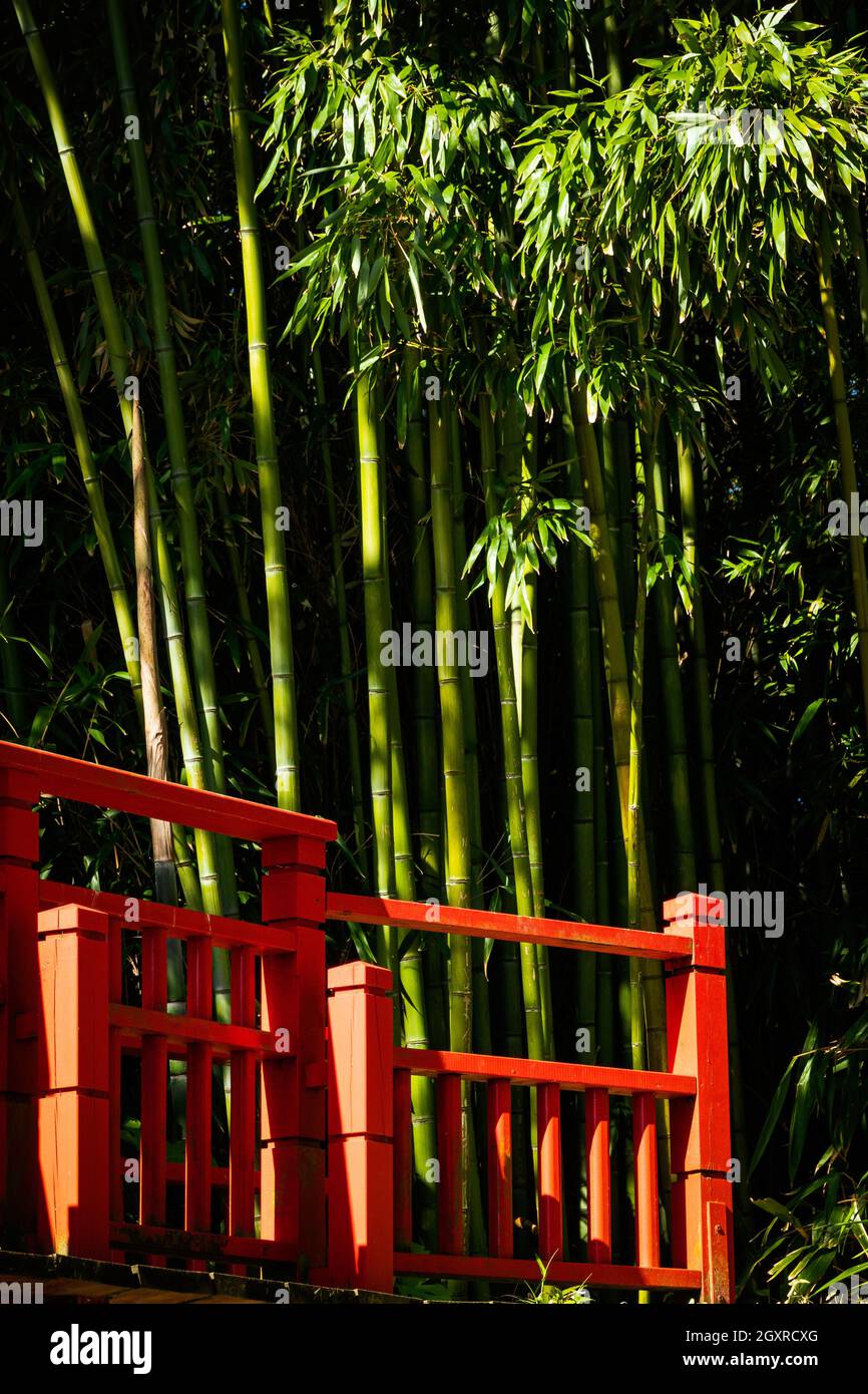 Red bridge and bamboo, Japanese garden detail Stock Photo - Alamy