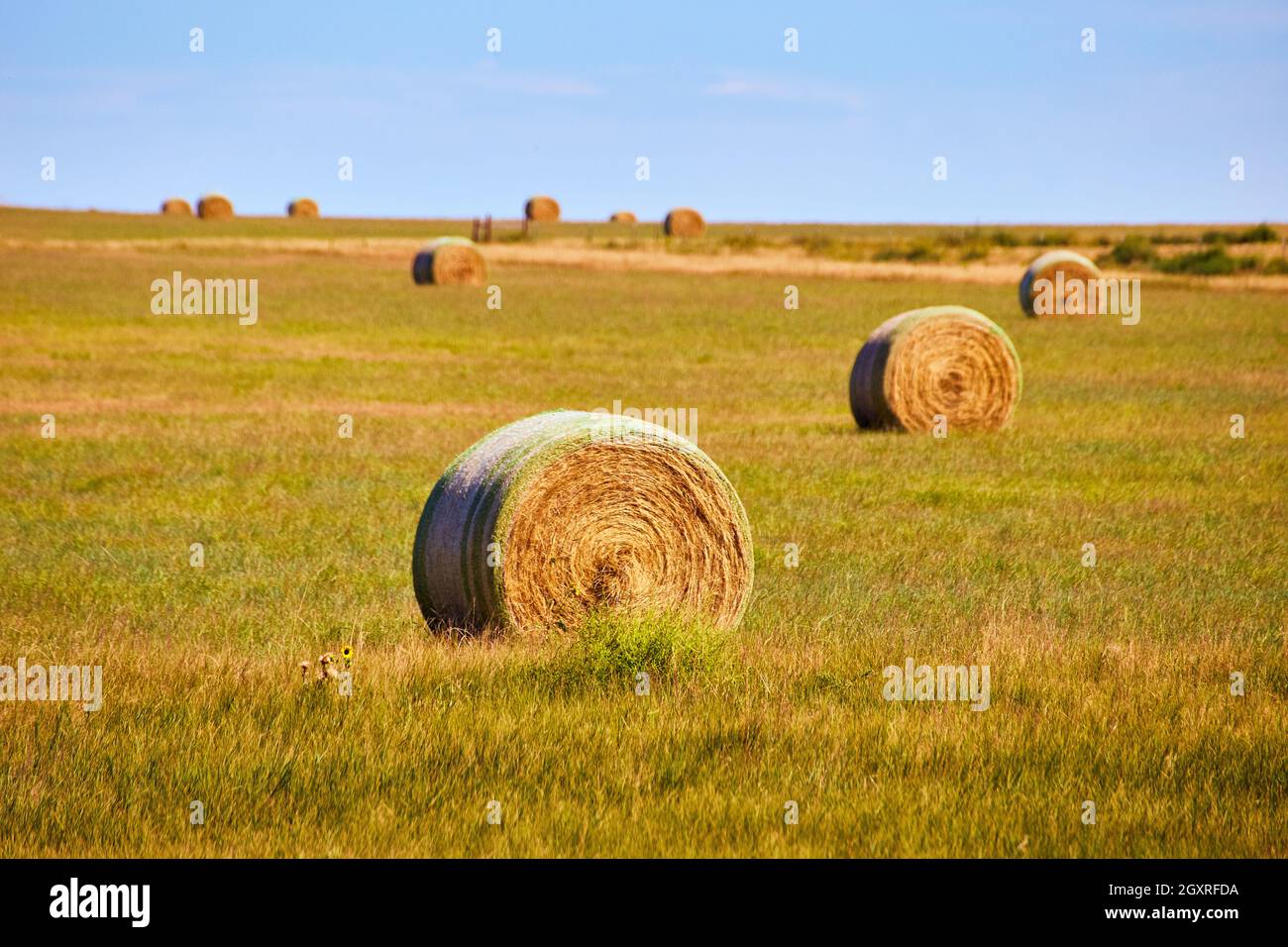 Hay in farm hi-res stock photography and images - Alamy