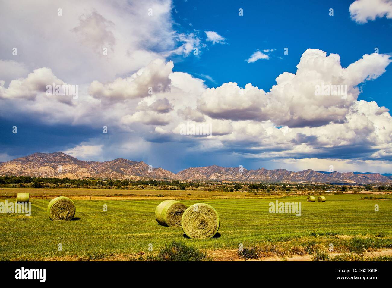 Hay bales mountains in background hi-res stock photography and images ...