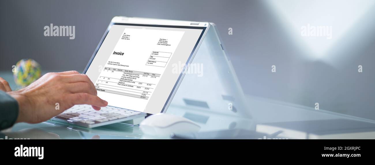 Electronic Invoice Statement Software And Digital Online Bill Stock ...