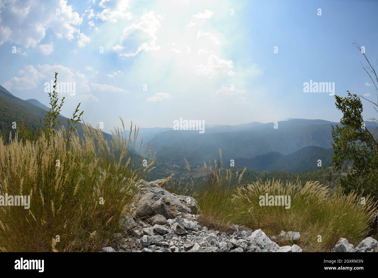 authentic nature landscape on summer time with fisheye lens Stock Photo ...