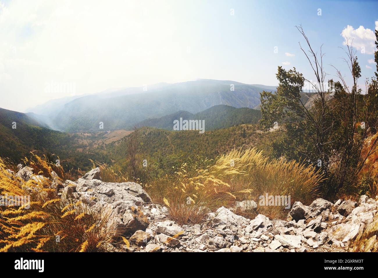 authentic nature landscape on summer time with fisheye lens Stock Photo ...