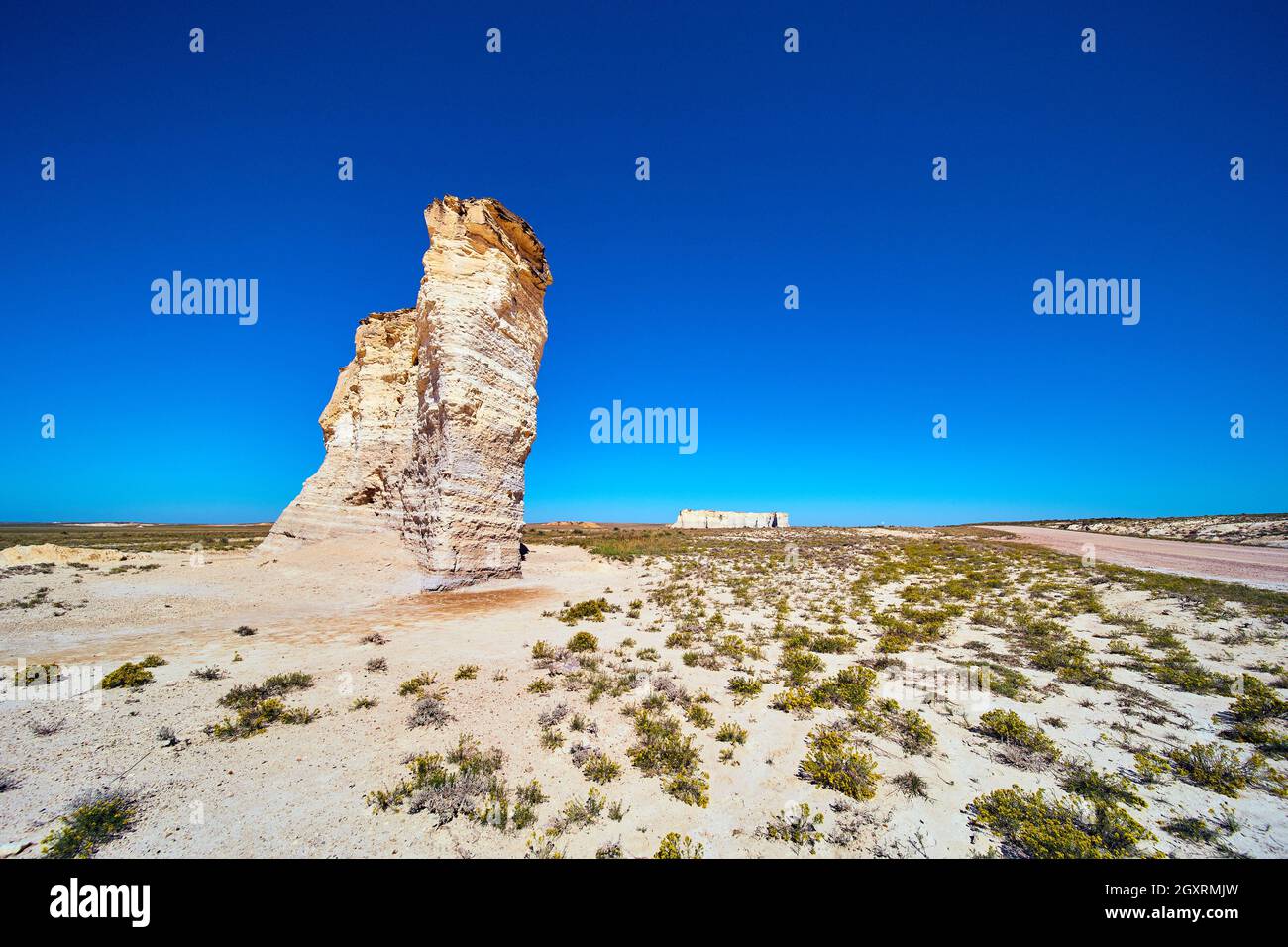 Flat desert of sand and yellow flowers with dirt road in desert and ...