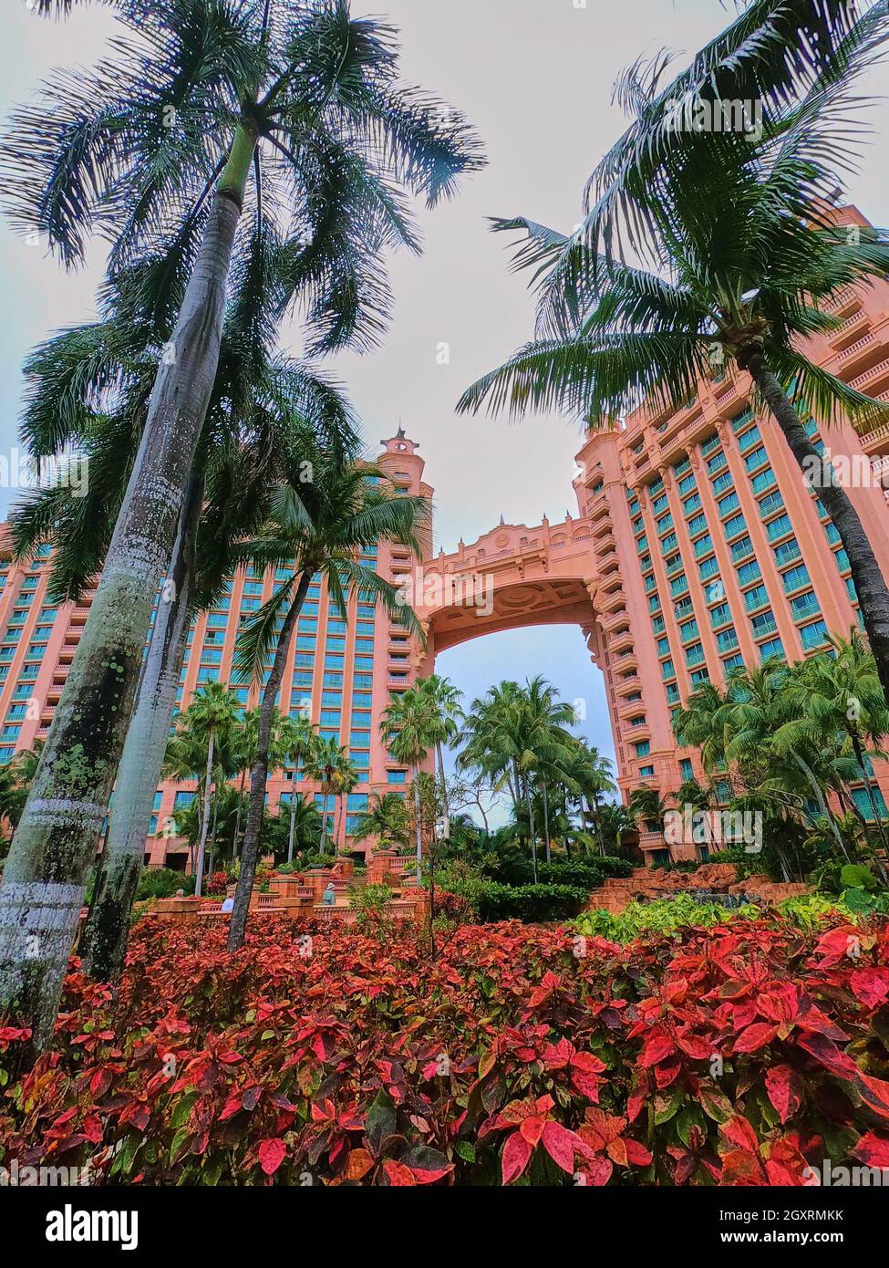 Palm trees and tropical gardens by resort hotel Stock Photo - Alamy