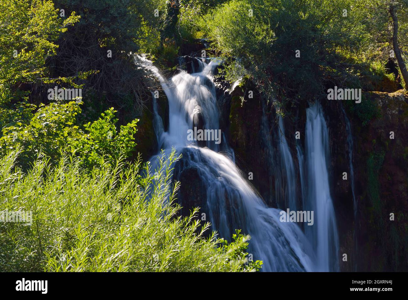 waterfall on wild river with fresh drinking water in summer Stock Photo ...