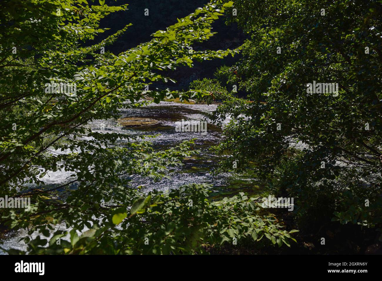 waterfall on wild river with fresh drinking water in summer Stock Photo ...