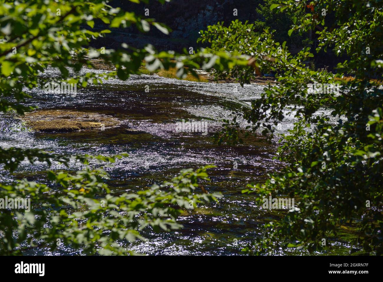waterfall on wild river with fresh drinking water in summer Stock Photo ...