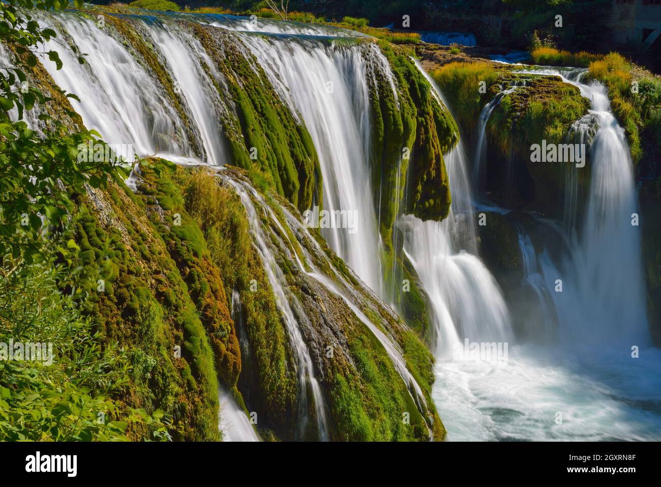 waterfall on wild river with fresh drinking water in summer Stock Photo ...