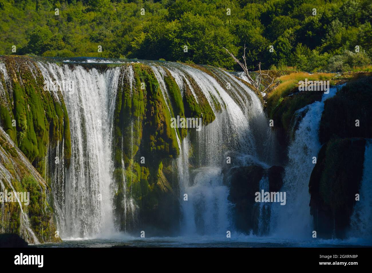 waterfall on wild river with fresh drinking water in summer Stock Photo ...