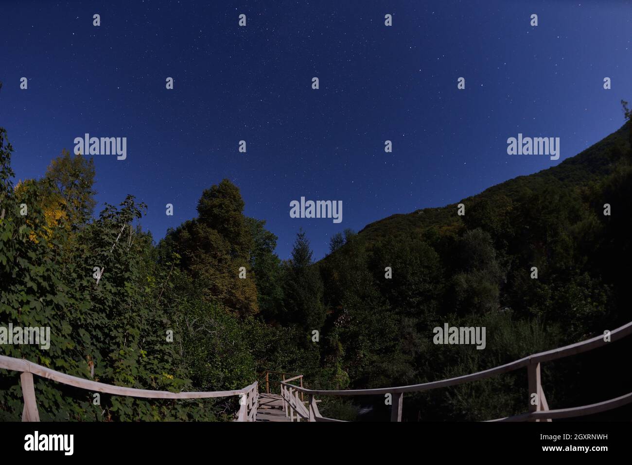 Over treetops hi-res stock photography and images - Alamy