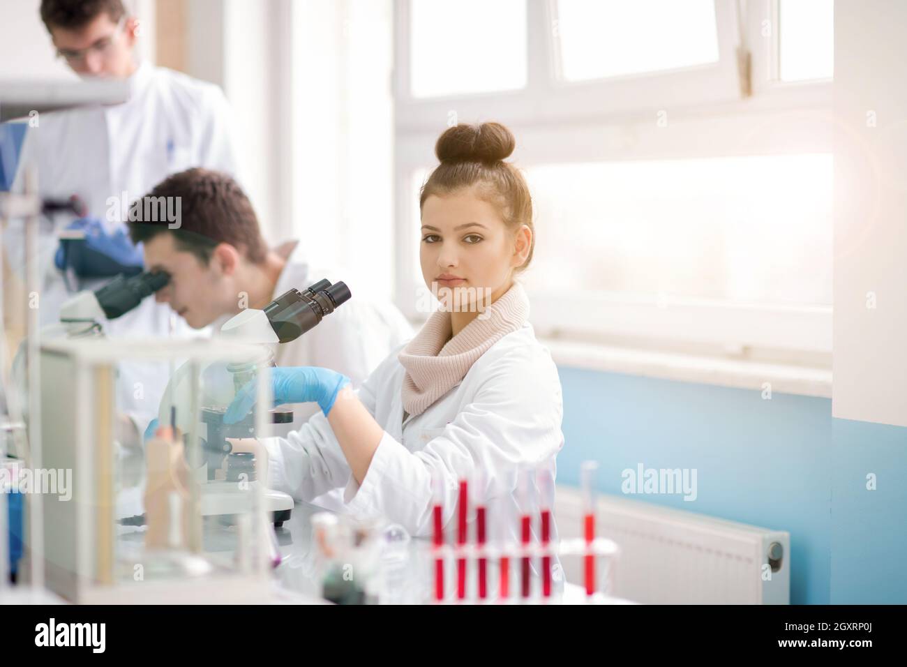 Group of young medical students doing research together in chemistry ...