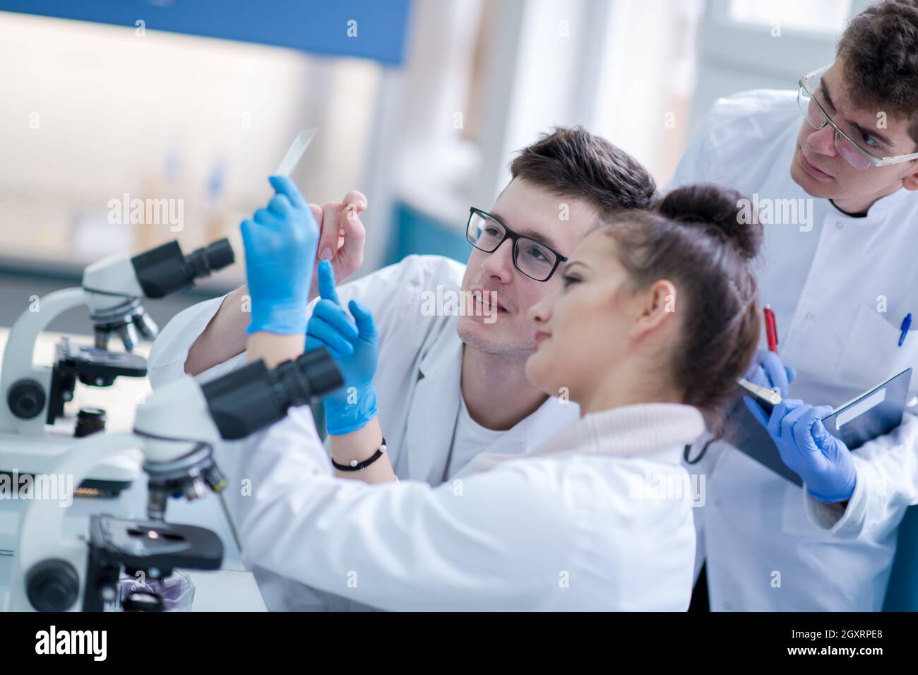 Group of young medical students doing research together in chemistry ...