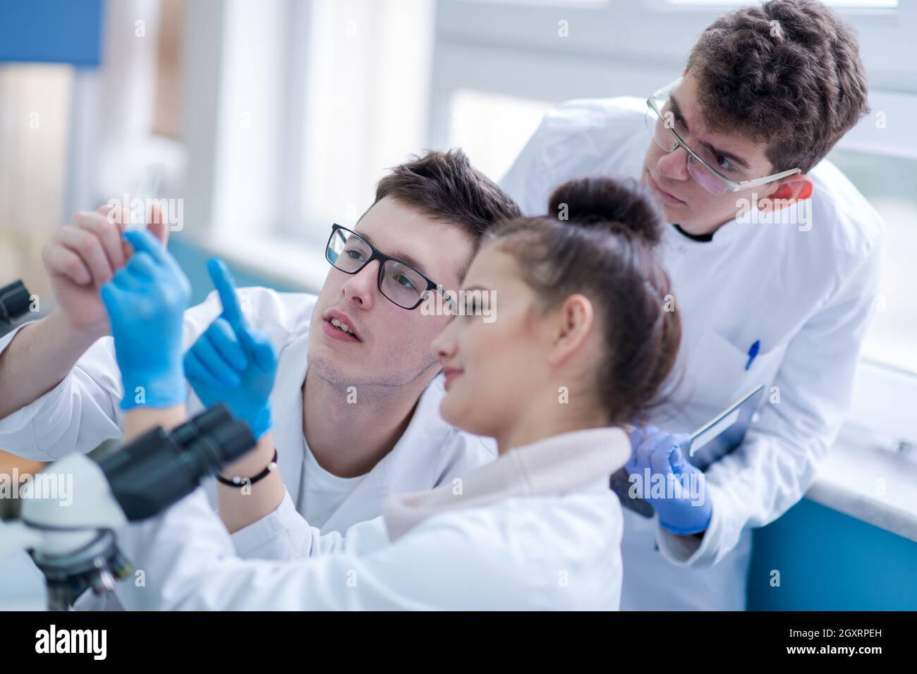 Group of young medical students doing research together in chemistry ...