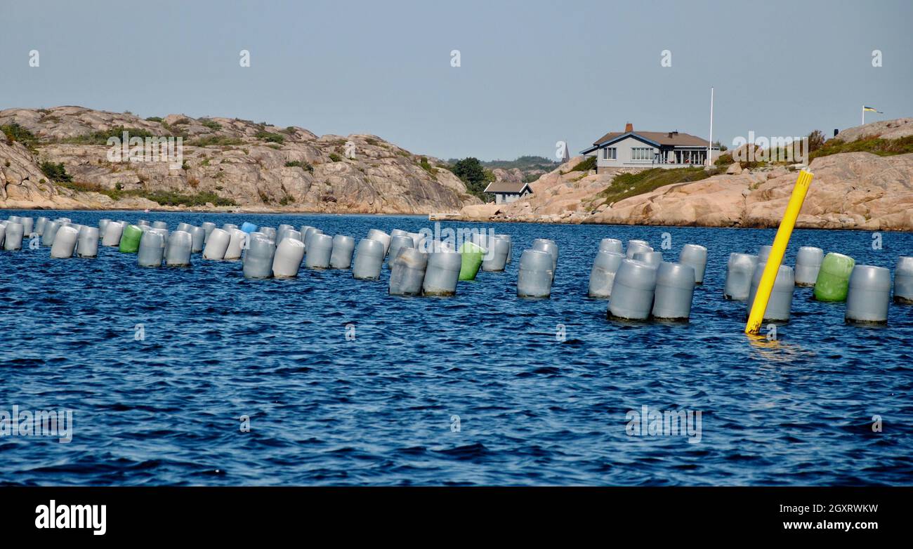 Mussel farm hi-res stock photography and images - Alamy