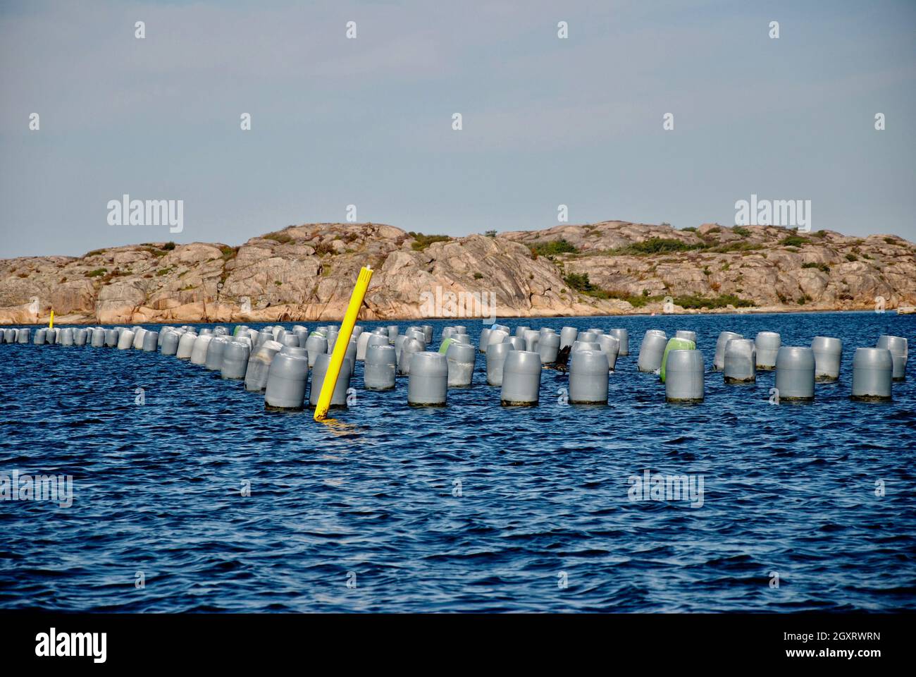 Mussel farm hi-res stock photography and images - Alamy
