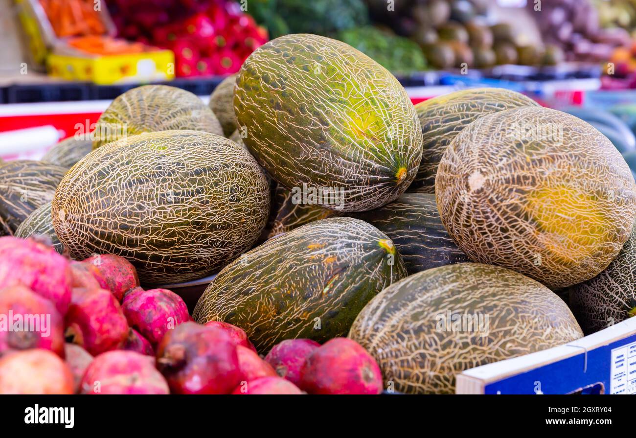 Sweet melons on the counter of the fruit store Stock Photo - Alamy