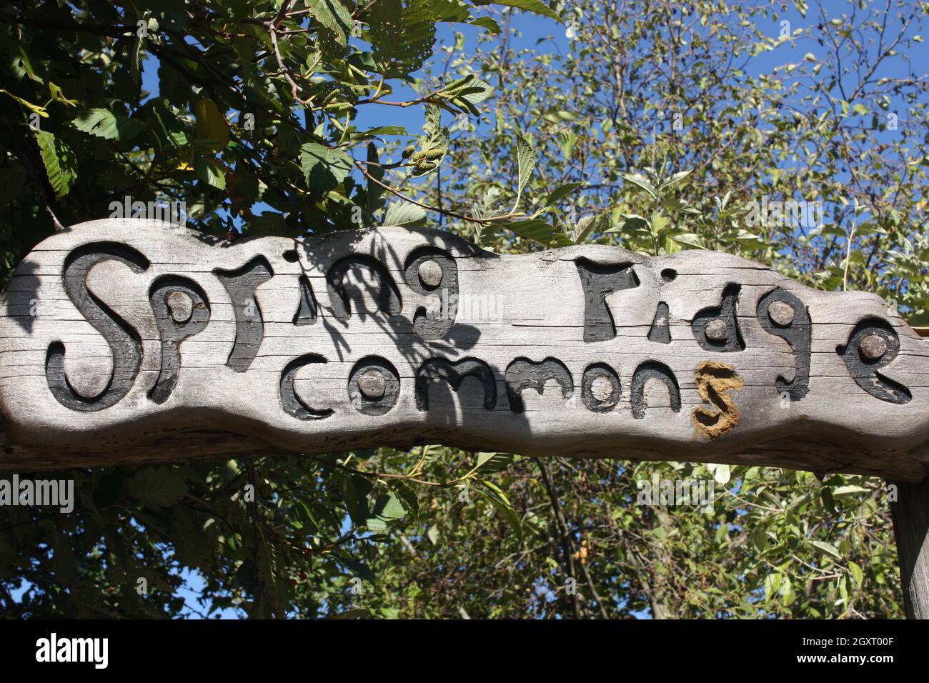 Spring Ridge Commons, a community garden with fruit and vegetables in ...