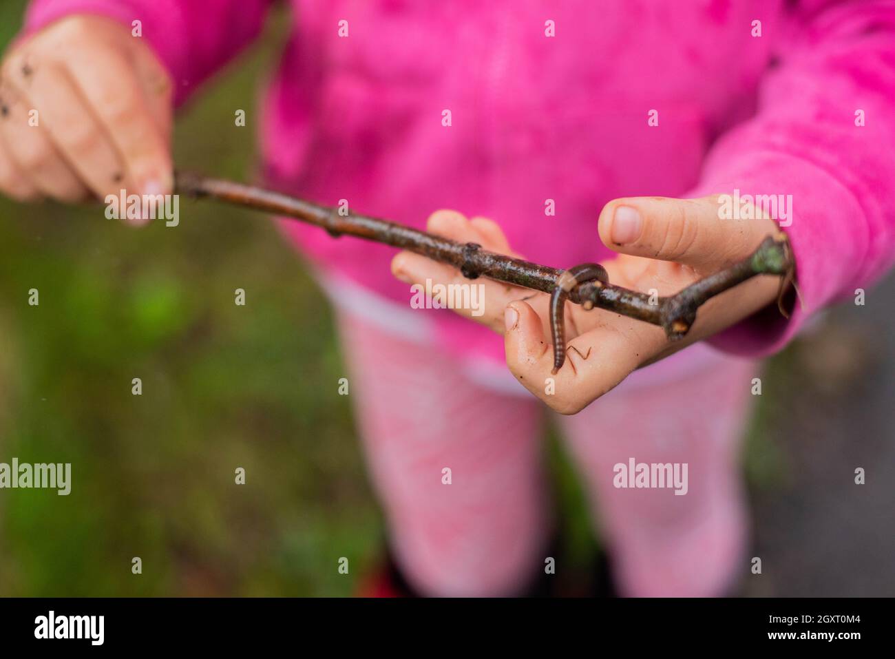 Child's hands holding a worm Stock Photo - Alamy