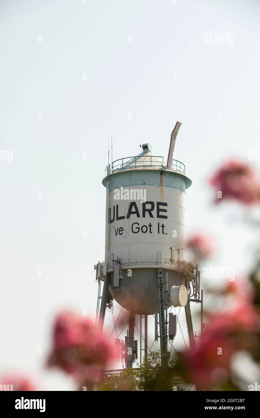 Tulare, California, USA - July 14, 2021: Morning sun shines on the ...