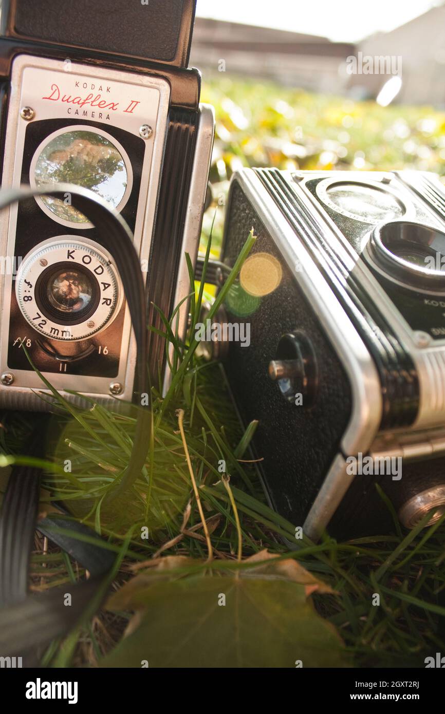 Two old cameras lay in a grassy open field with a lens flare in the ...