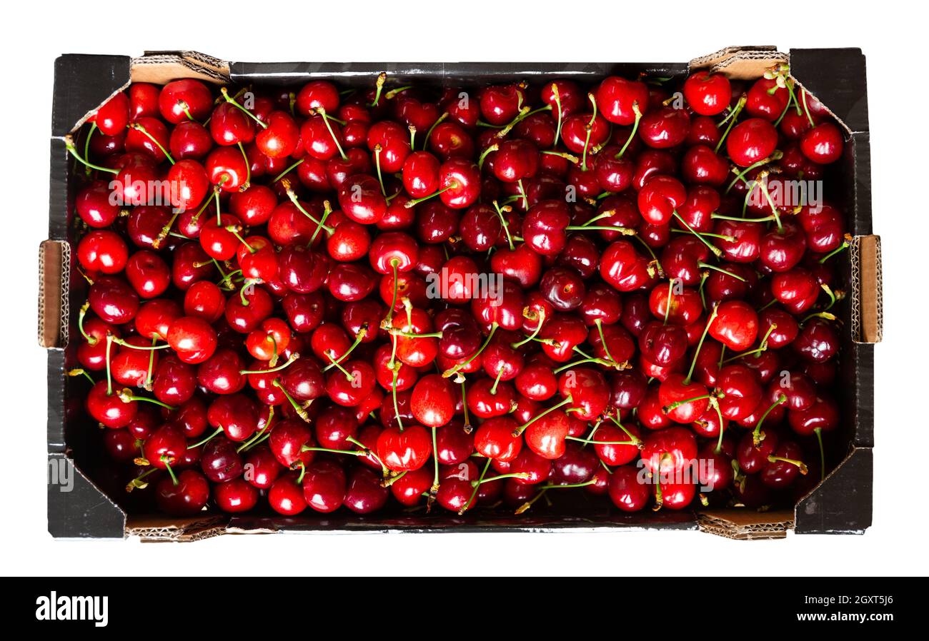 crates full of ripe red cherries Stock Photo - Alamy