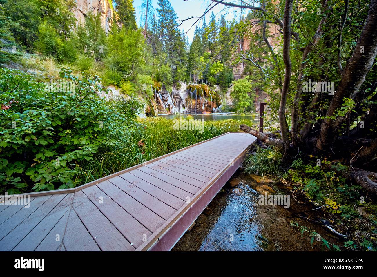 Boardwalk trail across water through forest with waterfalls in ...