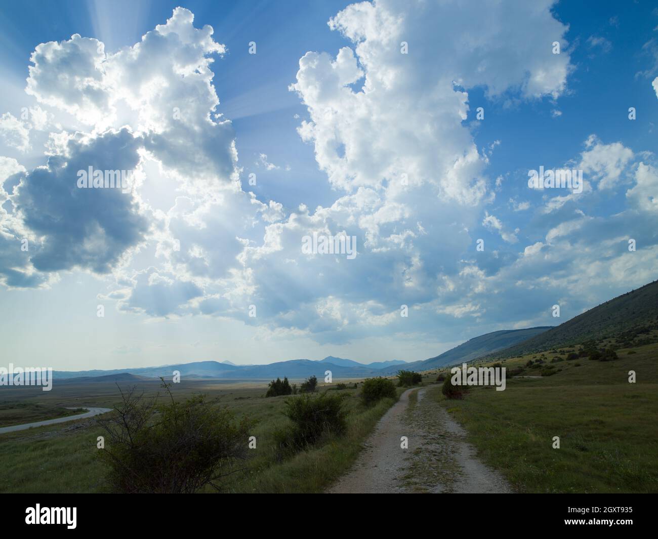 Evening summer landscape with green grass, road and clouds Stock Photo ...