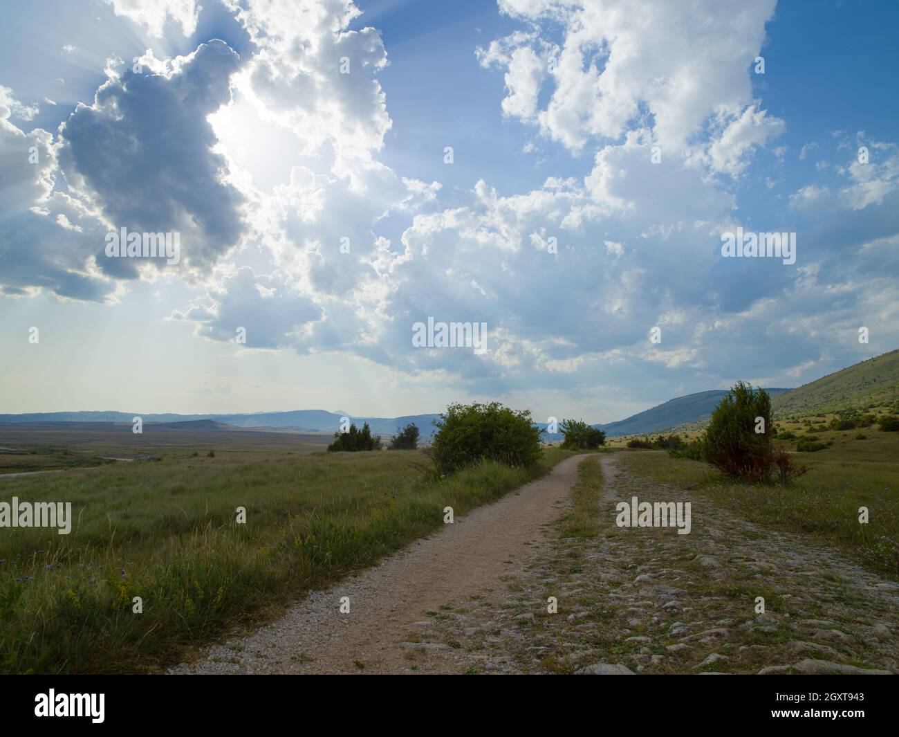 Evening summer landscape with green grass, road and clouds Stock Photo ...