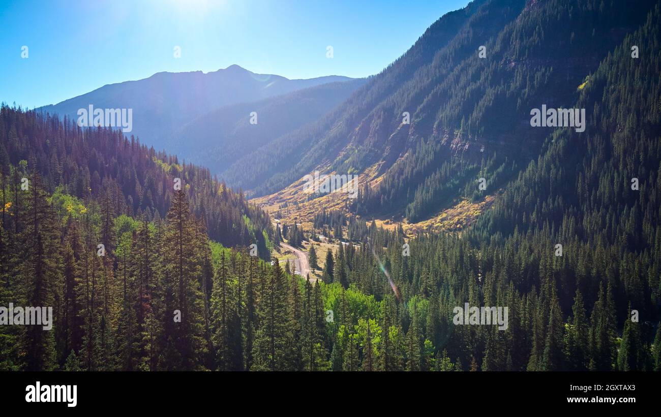 Aerial pine trees alps hi-res stock photography and images - Alamy