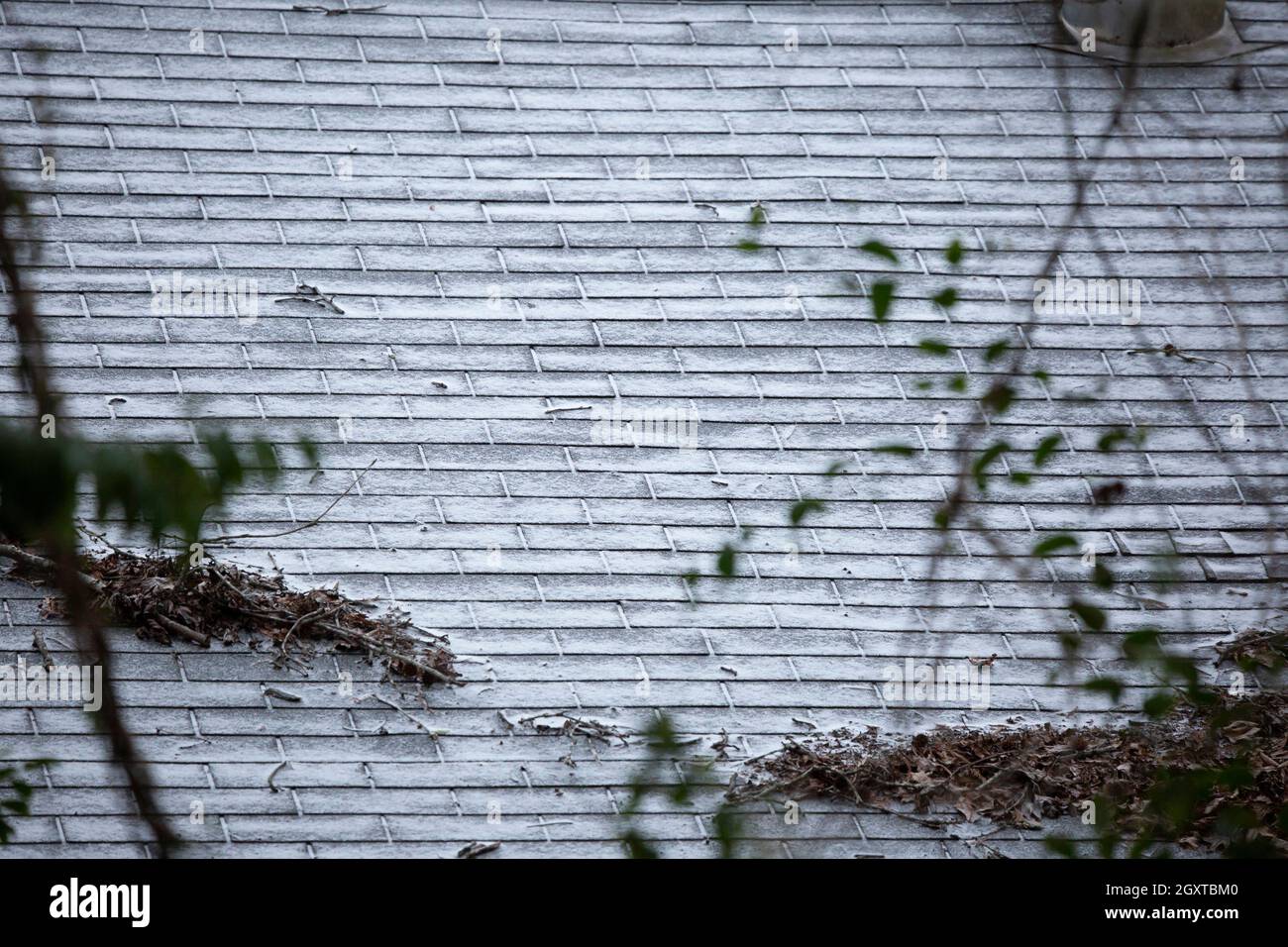Light sleet on the shingles of a roof Stock Photo - Alamy