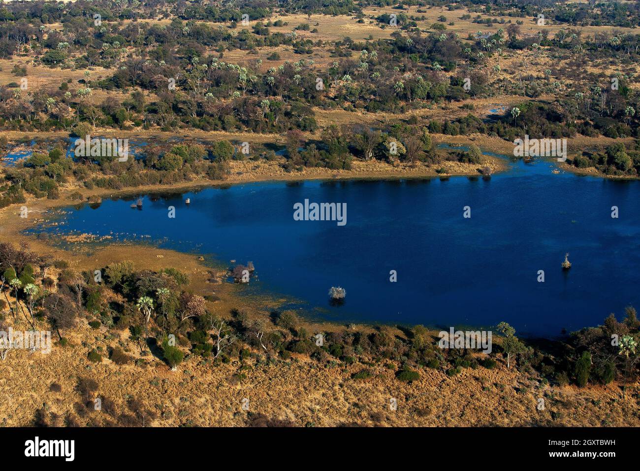 Aerial view of the great Okavango Delta, Moremi Game Reserve, Botswana ...