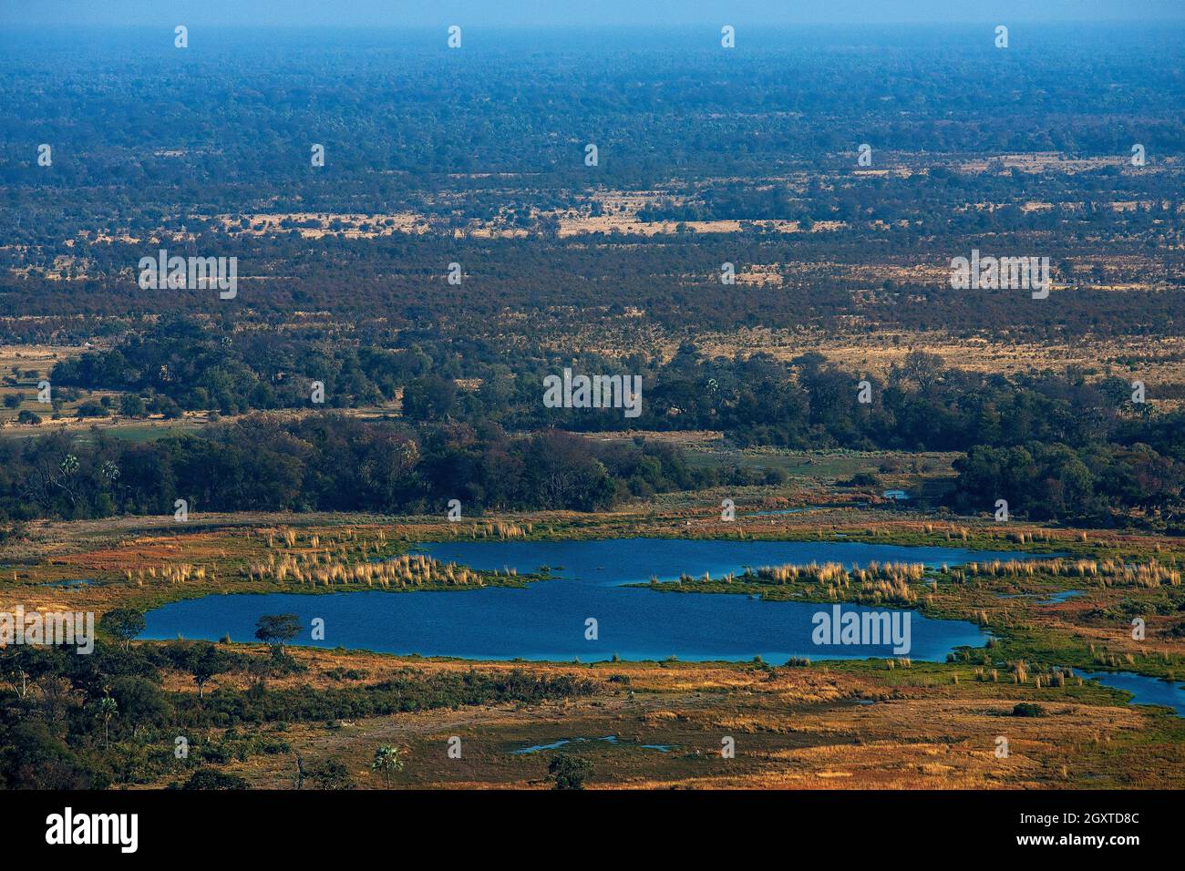 Aerial view of the great Okavango Delta, Moremi Game Reserve, Botswana ...