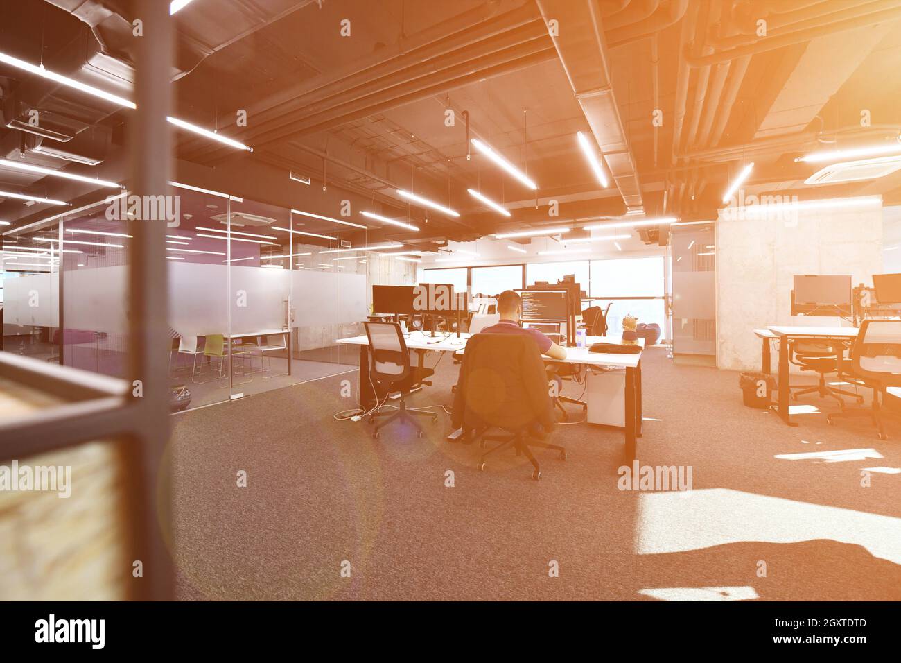 software developers working everyday job writing programming code at modern sunny bright open ...